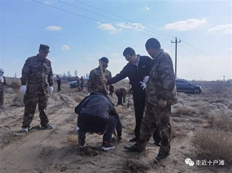 新疆兵团全民义务植树网