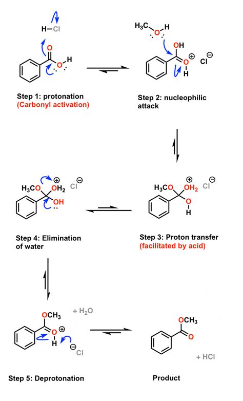 Solid Acid Catalyst For Esterification Reaction At Tara Brothers Blog
