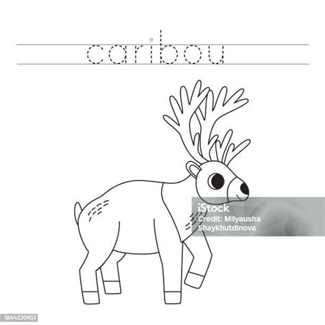 글자를 따라 만화 순록을 색칠하세요 아이들을 위한 손글씨 연습 유치원에 대한 스톡 벡터 아트 및 기타 이미지 유치원 크리스마스 활동 Istock