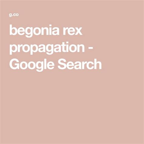 Begonia Rex Propagation Guide