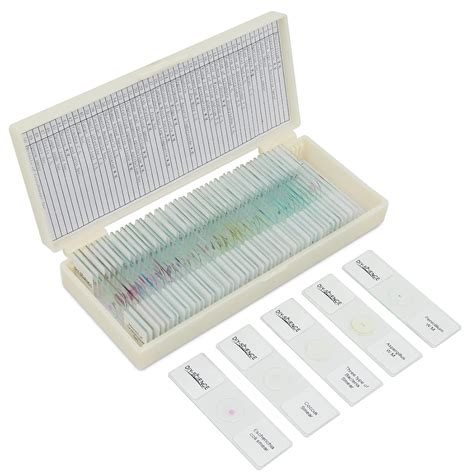50pcs Prepared Microscope Slides Set With Specimens Plants Insect