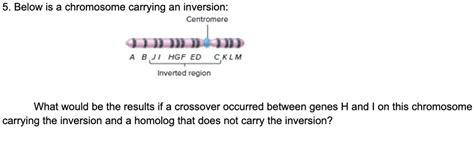 solved 5 below is a chromosome carrying an inversion centromere b j