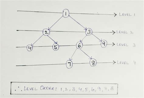 level order tree traversal implementation in java codespeedy