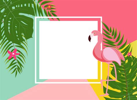 Flamingo Frame Vector Art Icons And Graphics For Free Download
