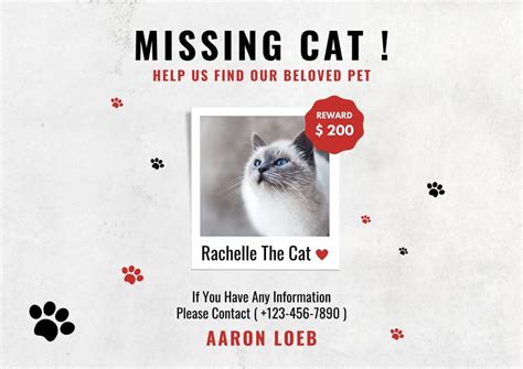 Free Printable Editable Lost Cat Poster Templates Canva