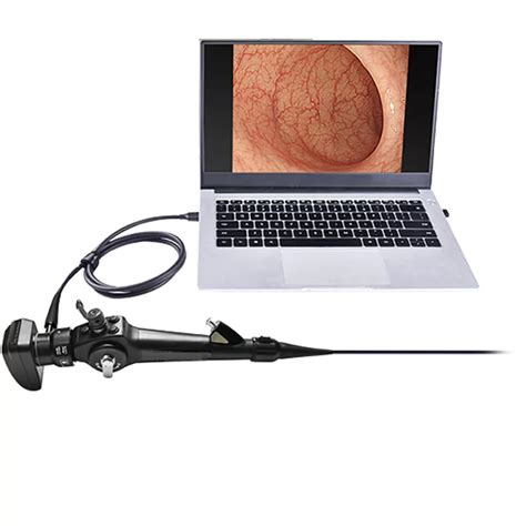 Veterinary Endoscope Systems