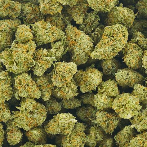 Buy Sour Raspberry Aaa Online Mmj Express