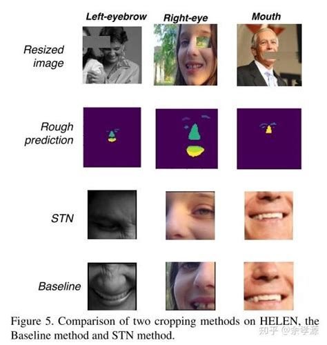 每日五分钟一读face Parsing 知乎
