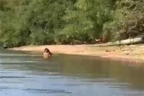 Mt Casais São Flagrados Fazendo Sexo No Rio Cuiabá Clichoje