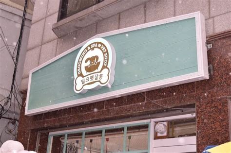대방동 애견미용실밀크펫살롱 쭌이 단골 미용실에서 부분미용 했어요 네이버 블로그 간판 간판디자인 사인 디자인