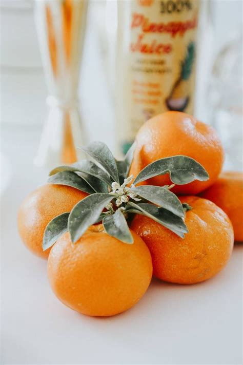 Mandarin Cocktail Toast To Summer With A Mandarin Tequila Smash