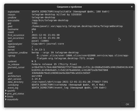 Snap Crashes On Fedora Aarch With Wayland Issue