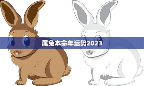 属兔本命年运势2023 兔子们2023年你们的运势如何 星辰运势