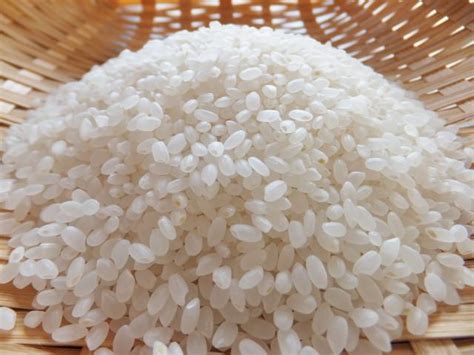 生活の源！偉大なるお米の神様 ハレトケギフト