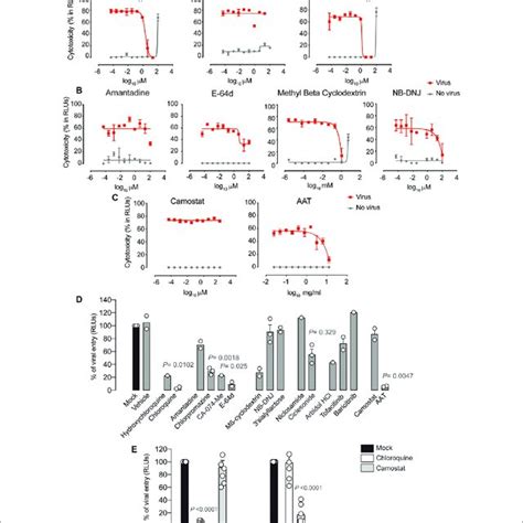 Antiviral Activity Of Entry Inhibitors Against Sars Cov 2 A