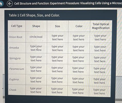 Solved Cell Structure And Function Experiment Procedure Chegg