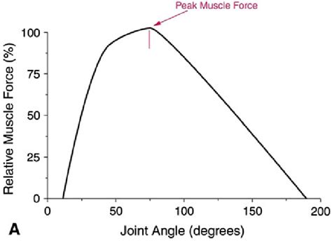Length Tension Curve Muscle Force Is Optimal Near The Midjoint Range Download Scientific