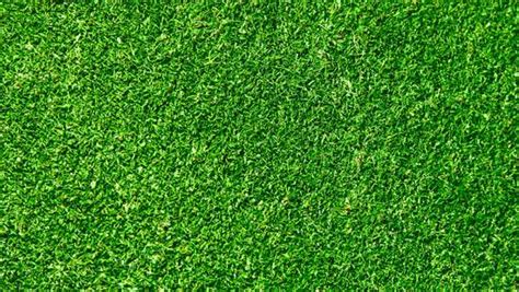 Free High Quality Grass Textures Collection