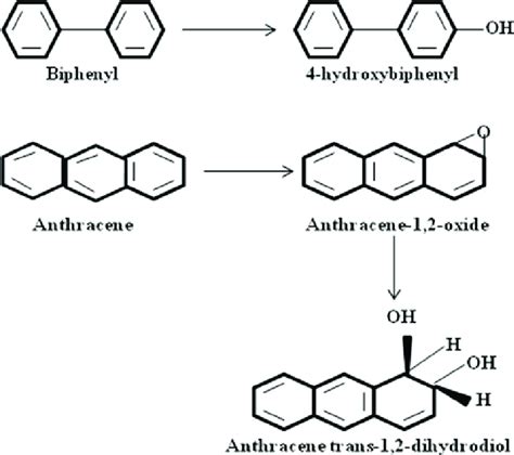 11 Proposed Pathway For Metabolism Of Biphenyl And Anthracene By