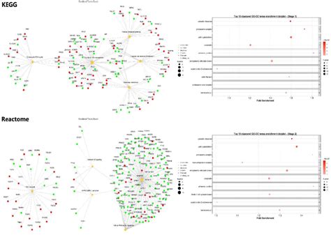 Stage 1 Vs Stage 2 Kegg Pathways Reactome Processes And Go Cellular Download Scientific