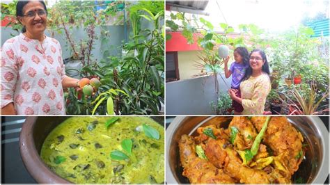 കുഞ്ഞു മാവിലെ ആദ്യത്തെ മാങ്ങാ വീട്ടിൽ കുറച്ചു നേരം Mathi Stew