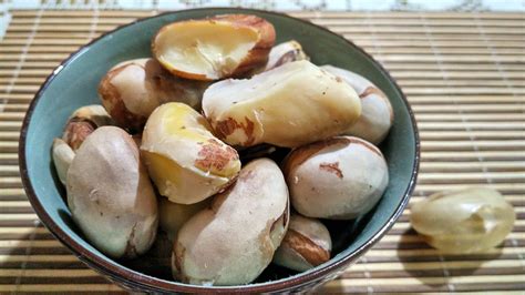 How To Preserve Jackfruit Seeds Wellness Munch