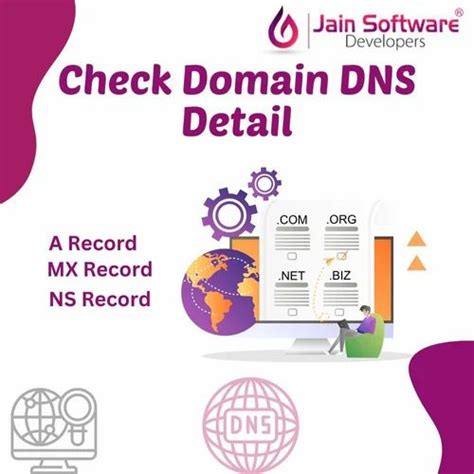 Domain Dns Services At ₹ 36000month In Raipur Id 2853980172273