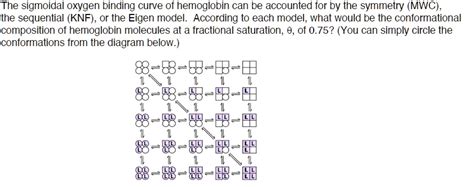 Solved The Sigmoidal Oxygen Binding Curve Of Hemoglobin Can Be