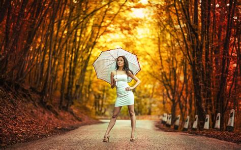 Wallpaper Sunlight Trees Fall Leaves Women Outdoors Model Long Hair Brunette White