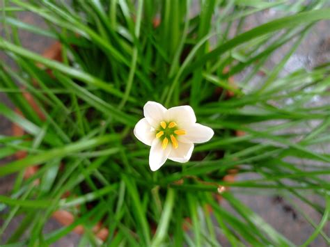 Lilylarimarpics Photos Download The Best Free Lilylarimarpics