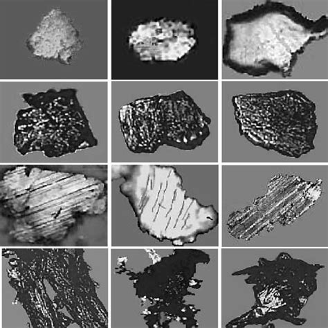 Pdf Wear Particle Texture Analysis