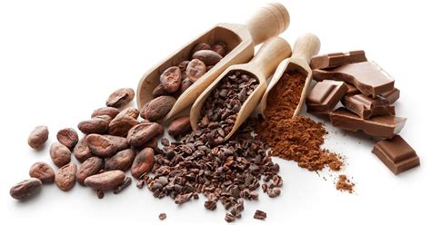 Cacao, Cocoa & Chocolate: What are the Differences and Do They Matter ...