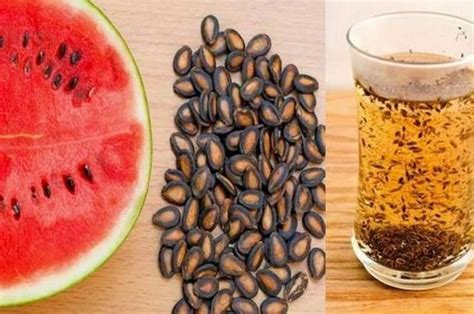 Simak Manfaat Buah Semangka Untuk Kesehatan Bibit Unggul