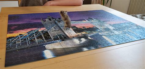 Hamzilla Attack On The Tower Of London Hamsters