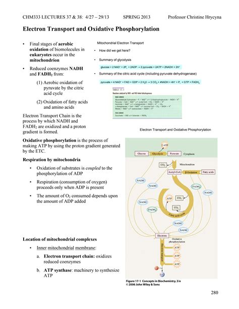Solution Lecture 37 38 Electron Transport And Oxidative