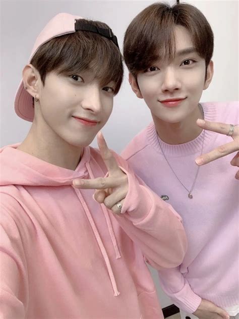 Seventeen ドギョム＆ジョシュア、twitterでpink Sweatとのコラボを広報 Danmee ダンミ