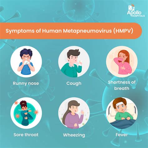 Hmpv Virus Human Metapneumovirus Symptoms Prevention And More