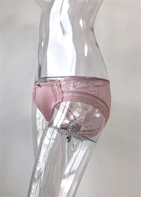 Clove Hitch Lace Panty In Pink • Dreamscaped
