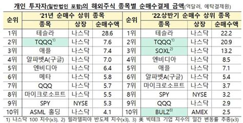 금감원 서학개미에 경고 해외증시 3배 Etf 투자 유의해야