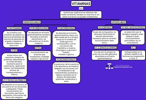 Mapas Conceptuales De Las Vitaminas 【descargar】