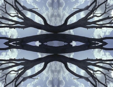 Composite Tree