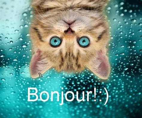 Bonjour Image 3685 BonnesImages