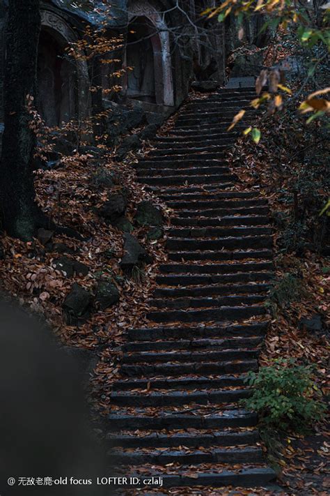 秋韵 南京·栖霞寺