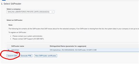 How To Renew Saprouter Certificate Step By Step Amar It Tech