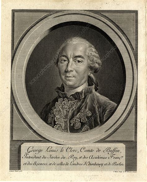 Comte De Buffon French Naturalist Stock Image C0101583 Science Photo Library