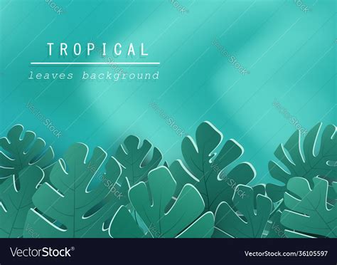 Tropical Leaves With Wave Background Green Nature Vector Image