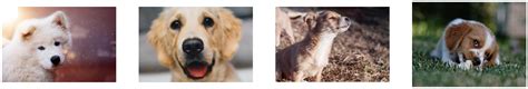 image decoder examples cpu — nvidia dali 1 1 0 documentation