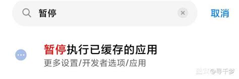 无rootMIUI开启被隐藏的墓碑模式 哔哩哔哩