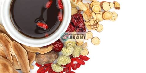 Chữa Sùi Mào Gà Bằng Đông Y Có Thực Sự Hiệu Quả