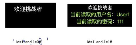 30小时教你玩转ctf sql注入漏洞实战分析入门 知乎